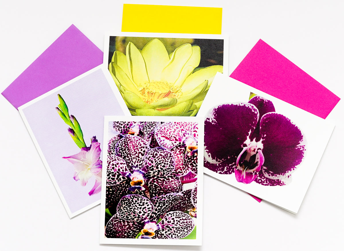 Blooming Flowers Photographic Smooth & Textured Note Cards Envelopes ...