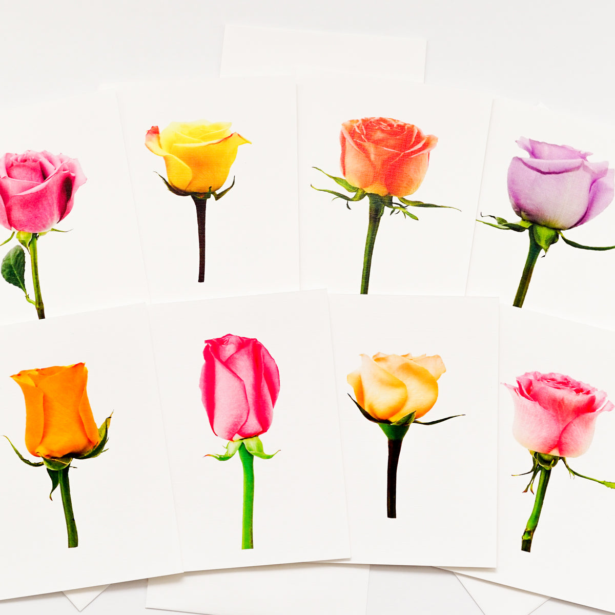 Rosebud Photographic Textured Note Cards with Matching Envelopes ...