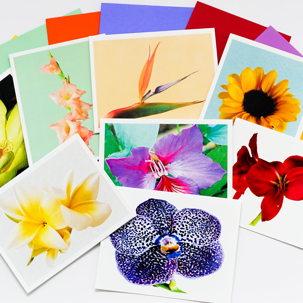 Products – Sunshine Expressions Note Cards