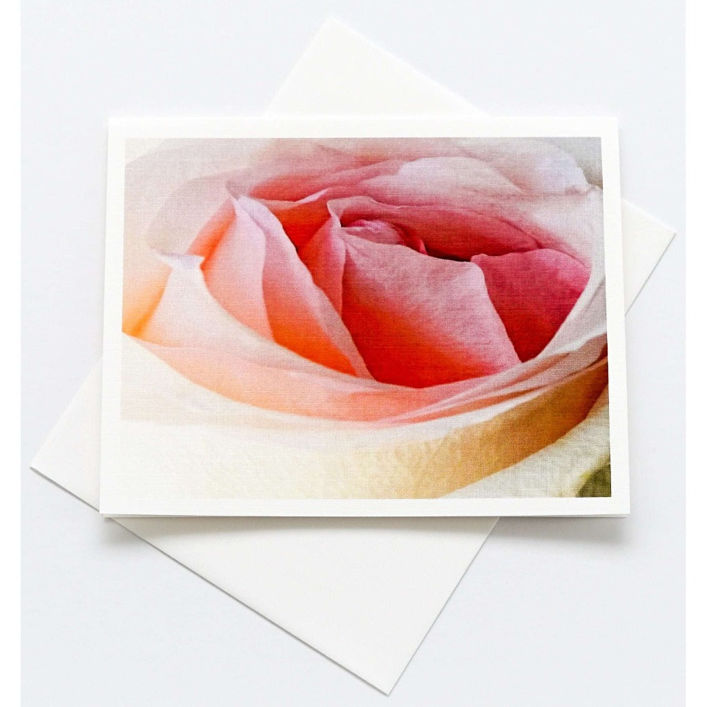 Blush Rosebud Photographic Textured Blank Note Cards with Envelopes ...